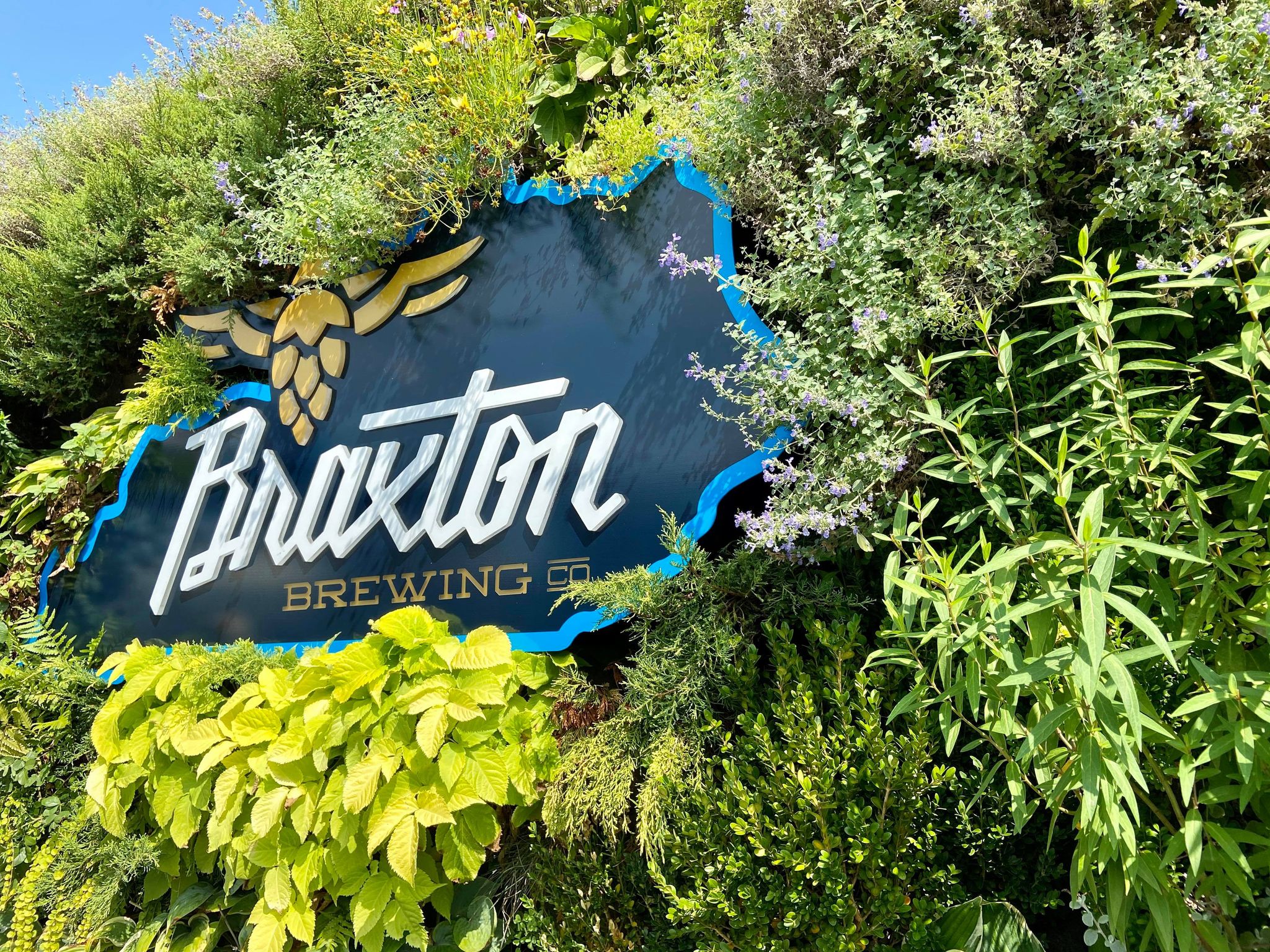 Braxton Brewing Company – Brewing Persuasions